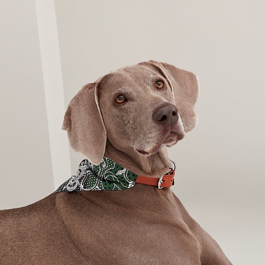 Eperon d Or dog bandana large model Hermes UK